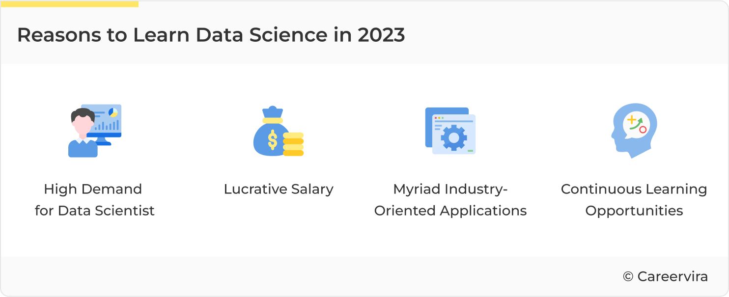 Top 5 Entry-Level Data Science Jobs: What to Expect in 2024 ...